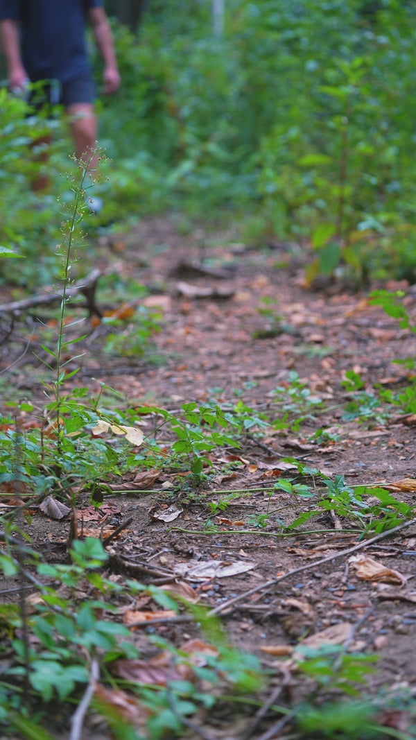 Elastic Shoe Laces for Fast Transitions - Bread Lace
