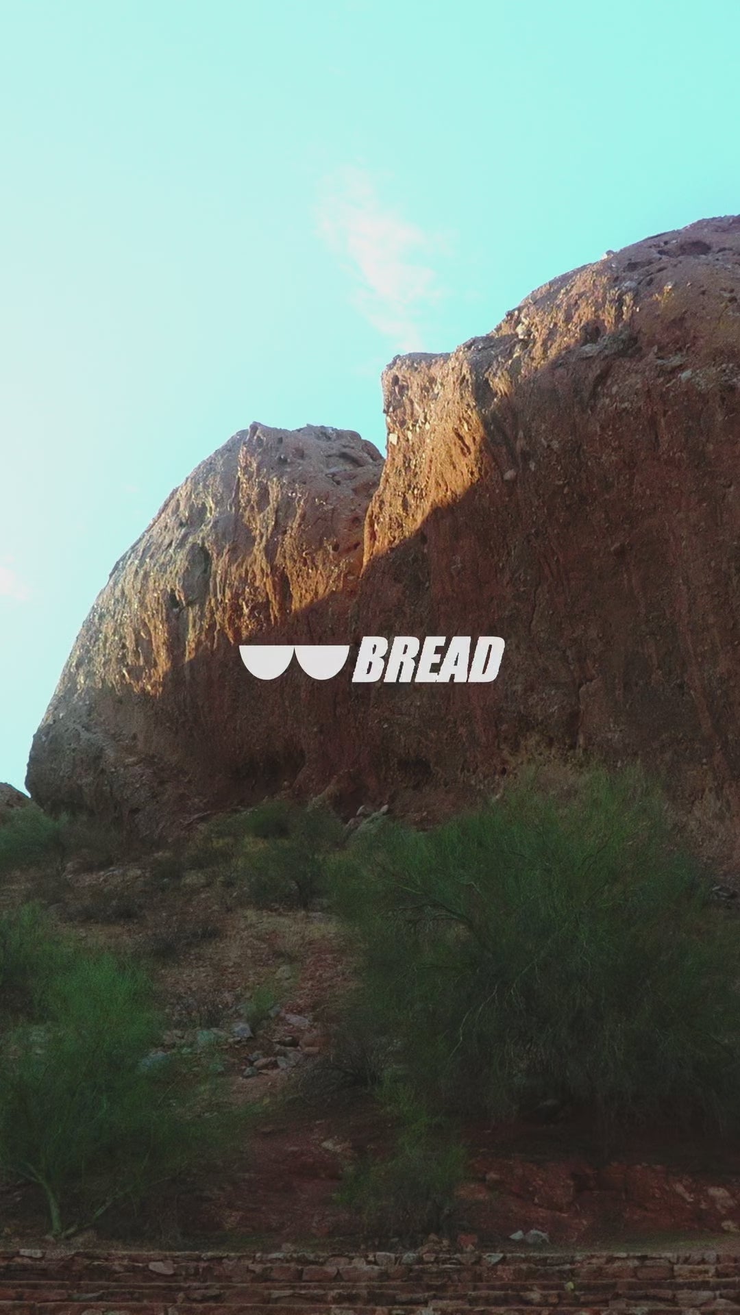 Breadlace Official Site | SHADOW BLACK